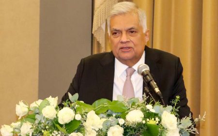 President Ranil Wickramasinghe meets the Diaspora - Buzzer