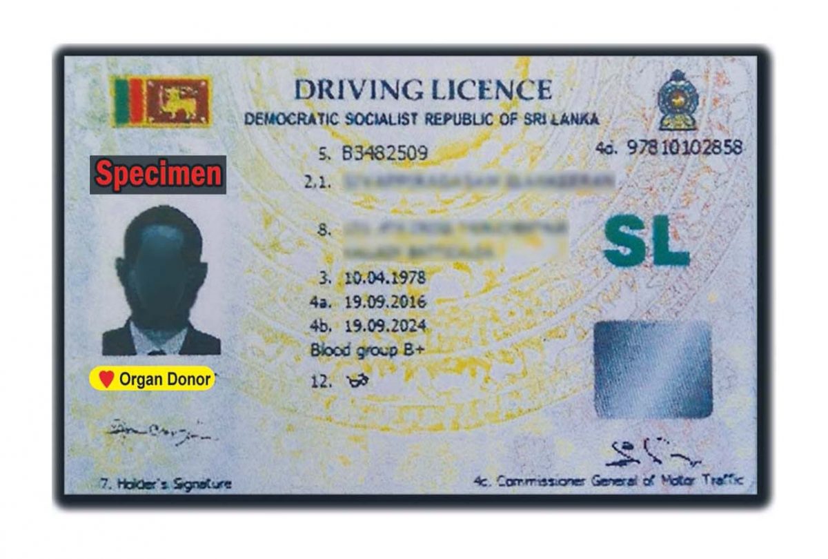 Temporary driving license validity period revised - Buzzer