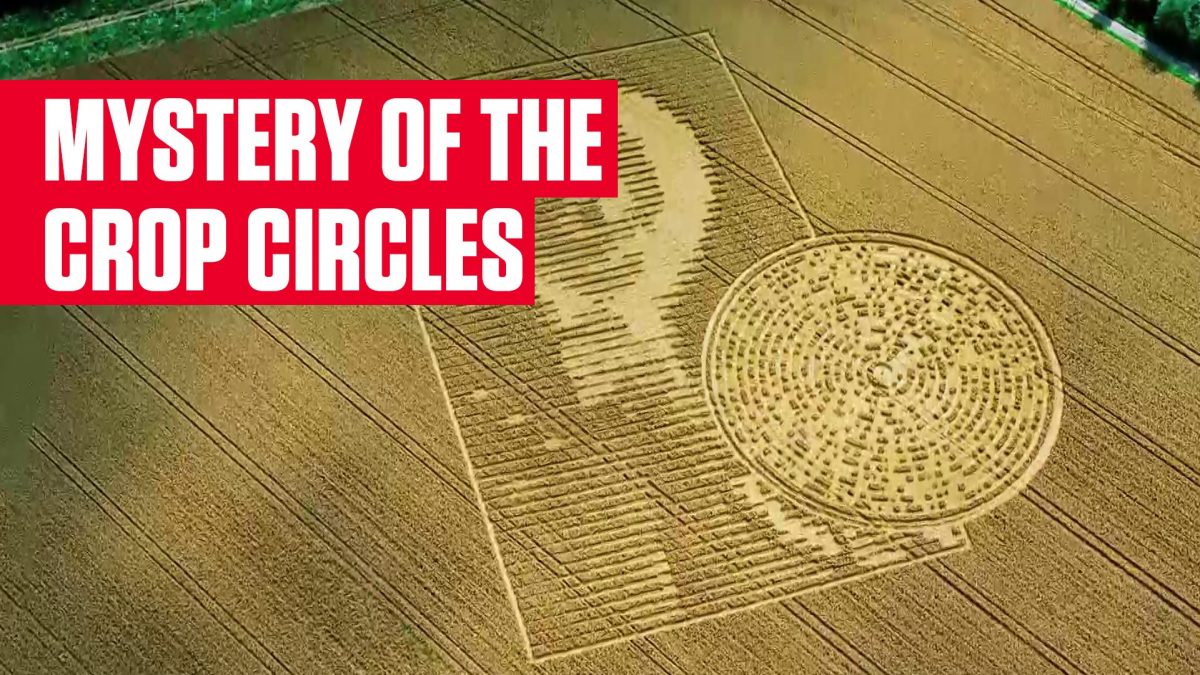 The Mystery of the Crop Circles! - Buzzer
