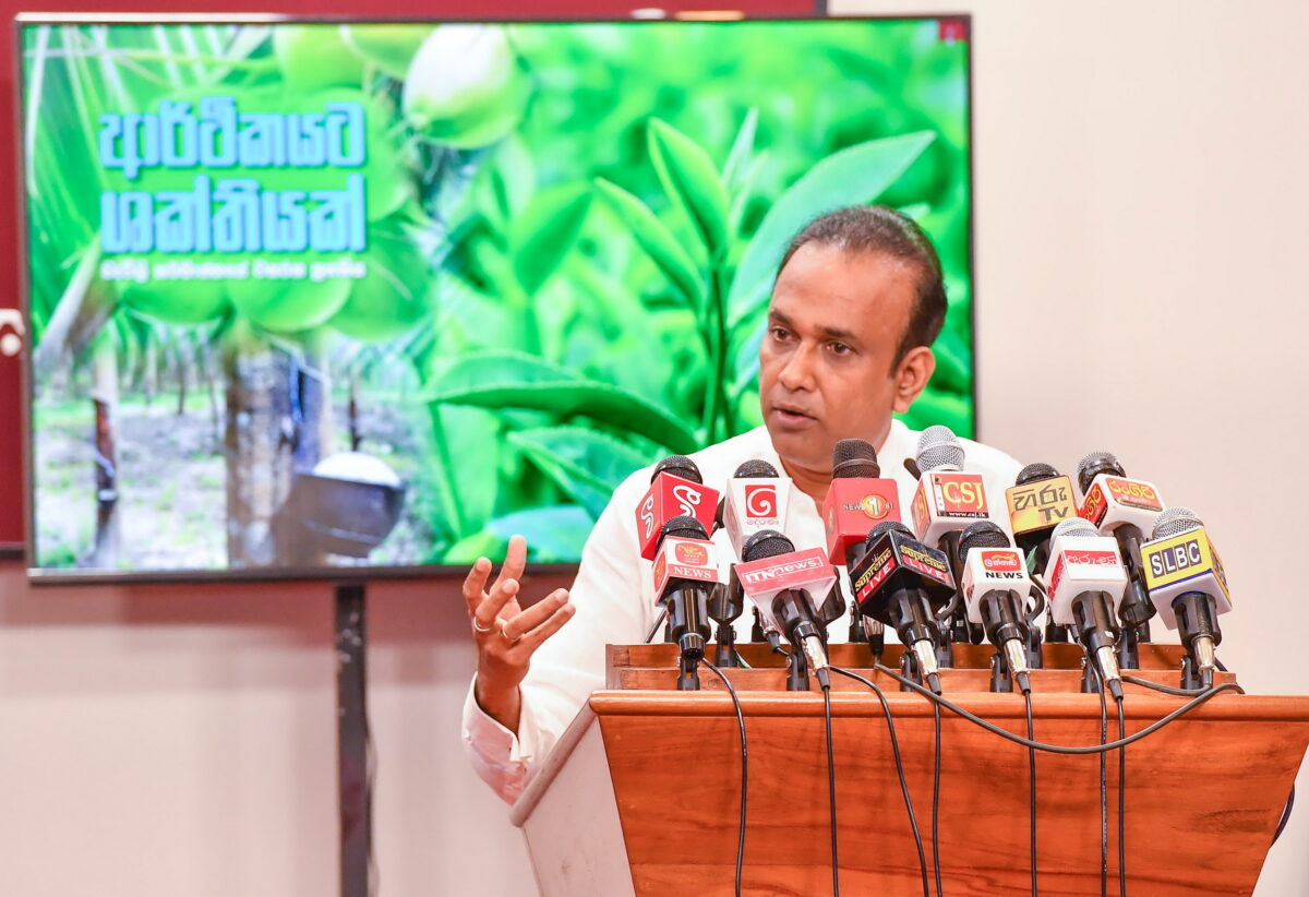 A second coconut triangle is going establish in Sri Lanka - Buzzer